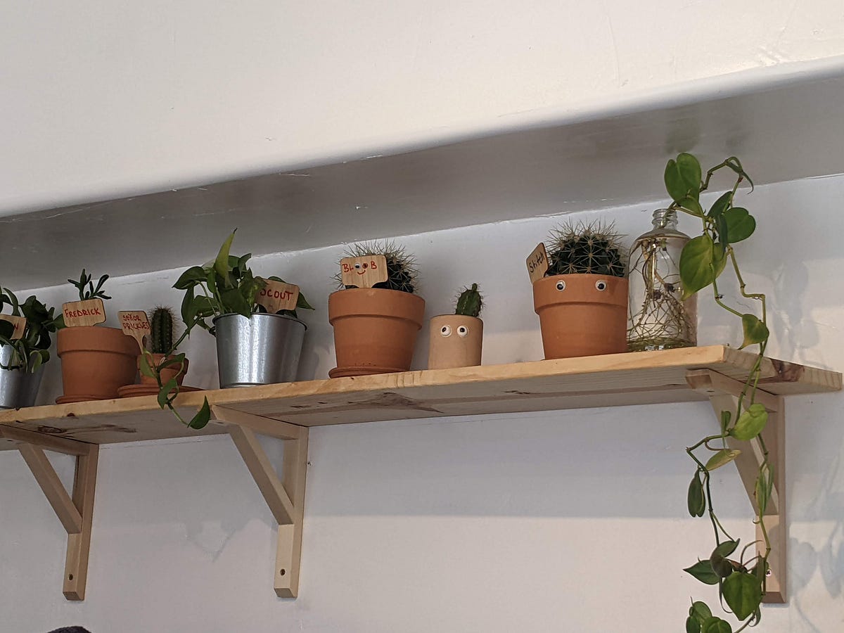 4 Unique and Health-Conscious Gifts for Any Occasion | by Michelle ...
