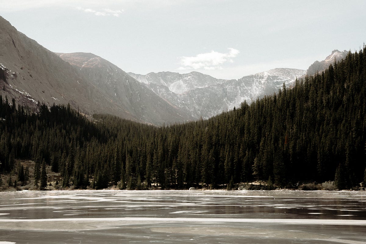 Search and No Rescue. № 1 — Just a matter of time (hopefully) | by Don ...