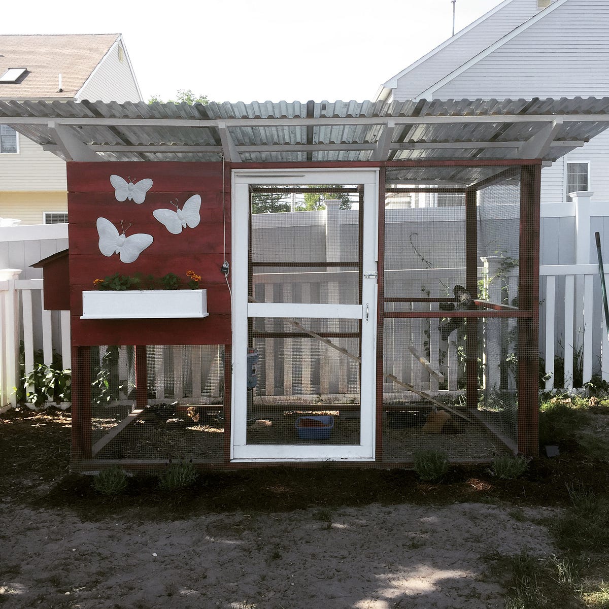 I Built a Chicken Coop : Lessons Learned | by Jim Barraud | Scratch ...