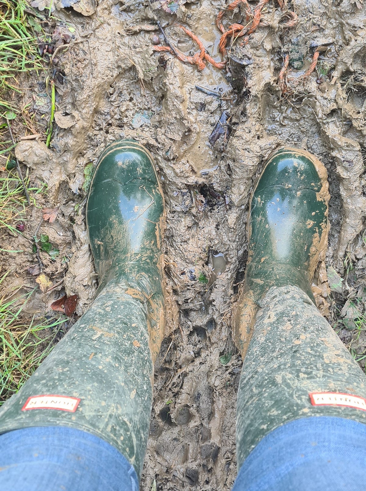 Muddy Walk Metaphor | by Jane Huntington | Medium