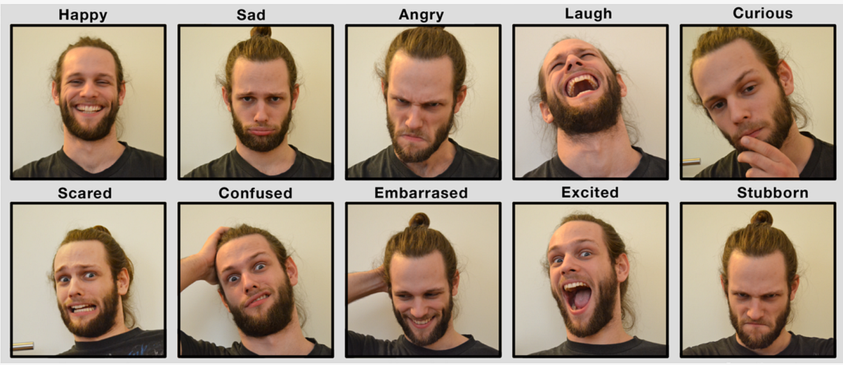 Emotion AI: Creating a CNN to Read Faces and Feelings | by Yash Pratap ...