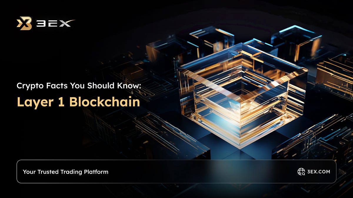 Crypto Facts That You Should Know: Layer 1 Blockchain | by 3ex | Jan ...