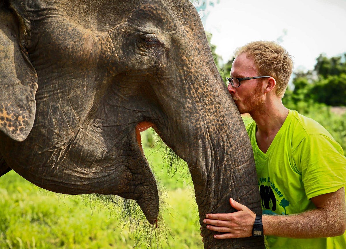 Travel is For the Weak…And I’m Frail | by Craig Wiroll | Medium