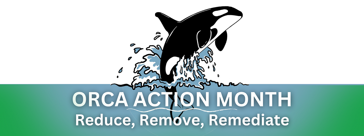 Orca Action Month: Reduce, Remove, Remediate | by The Washington ...