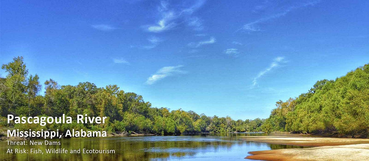 Pascagoula River. New dams to make recreational amenity… | by American ...