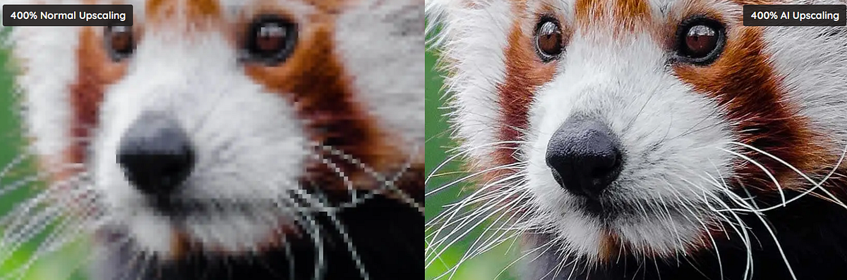 3 Best AI-based photo Editing Tools Recommended | by Lincolncassaundra ...