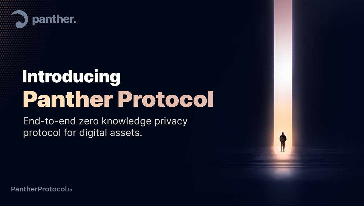 What is Panther Protocol and why it exists? | by Panther Protocol | Panther Protocol | Medium