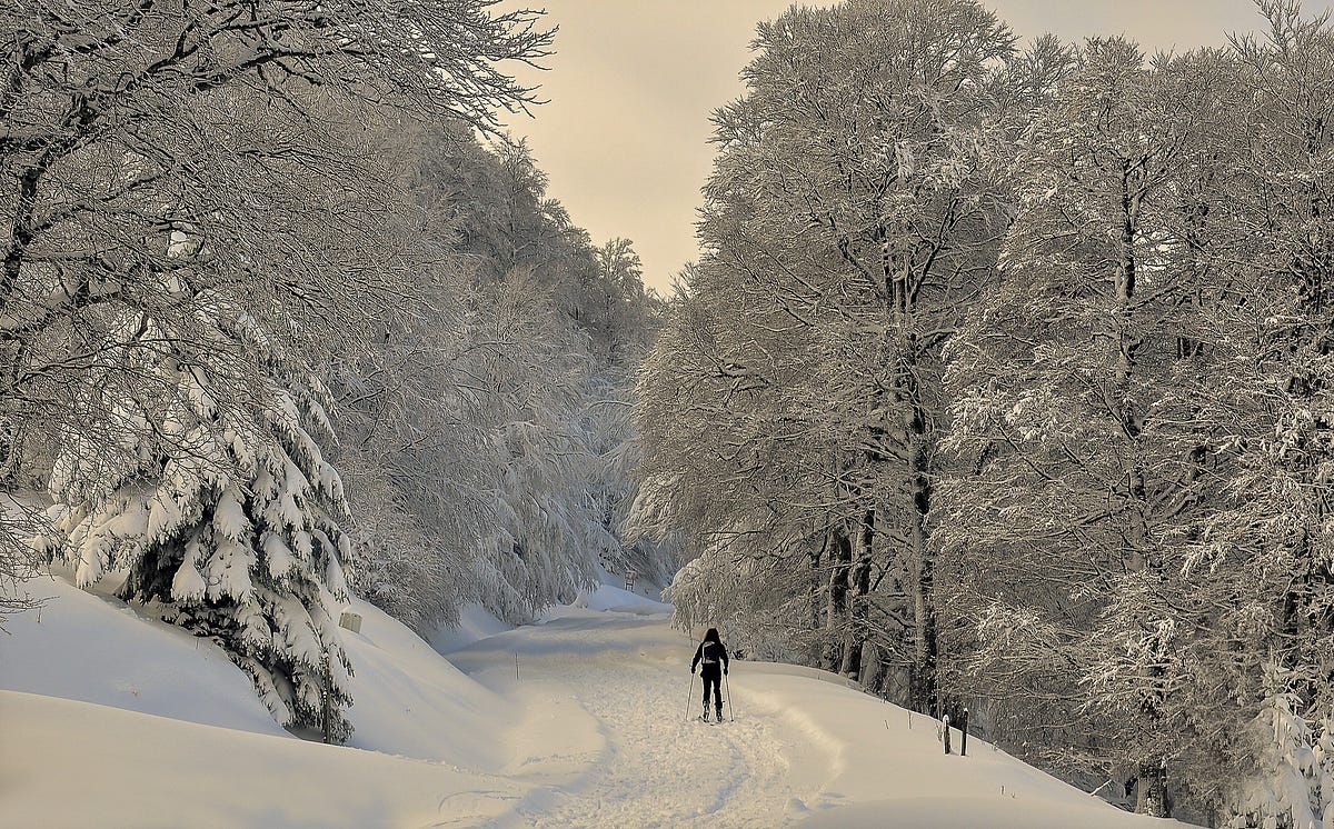 I’m writing a book. What now?. The Writer’s Journey, Part 2 | by Adam ...