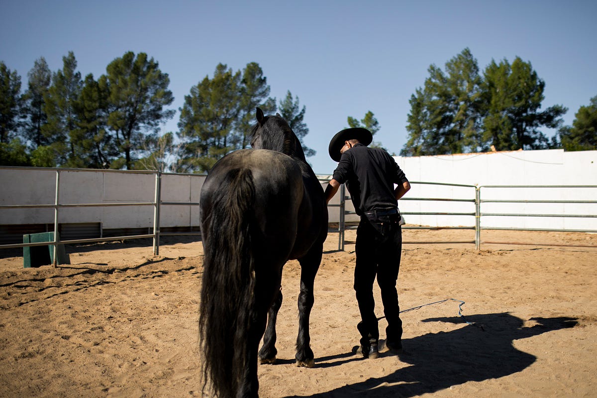 Horseback Riding in Mexico: Discover the Ultimate Equestrian Vacation ...