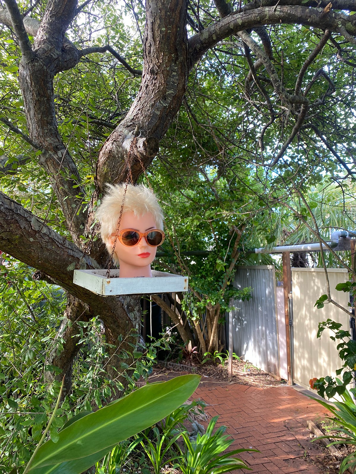 The Strange Six Becomes The Funky Five | by Karina Cope | Jan, 2025 ...