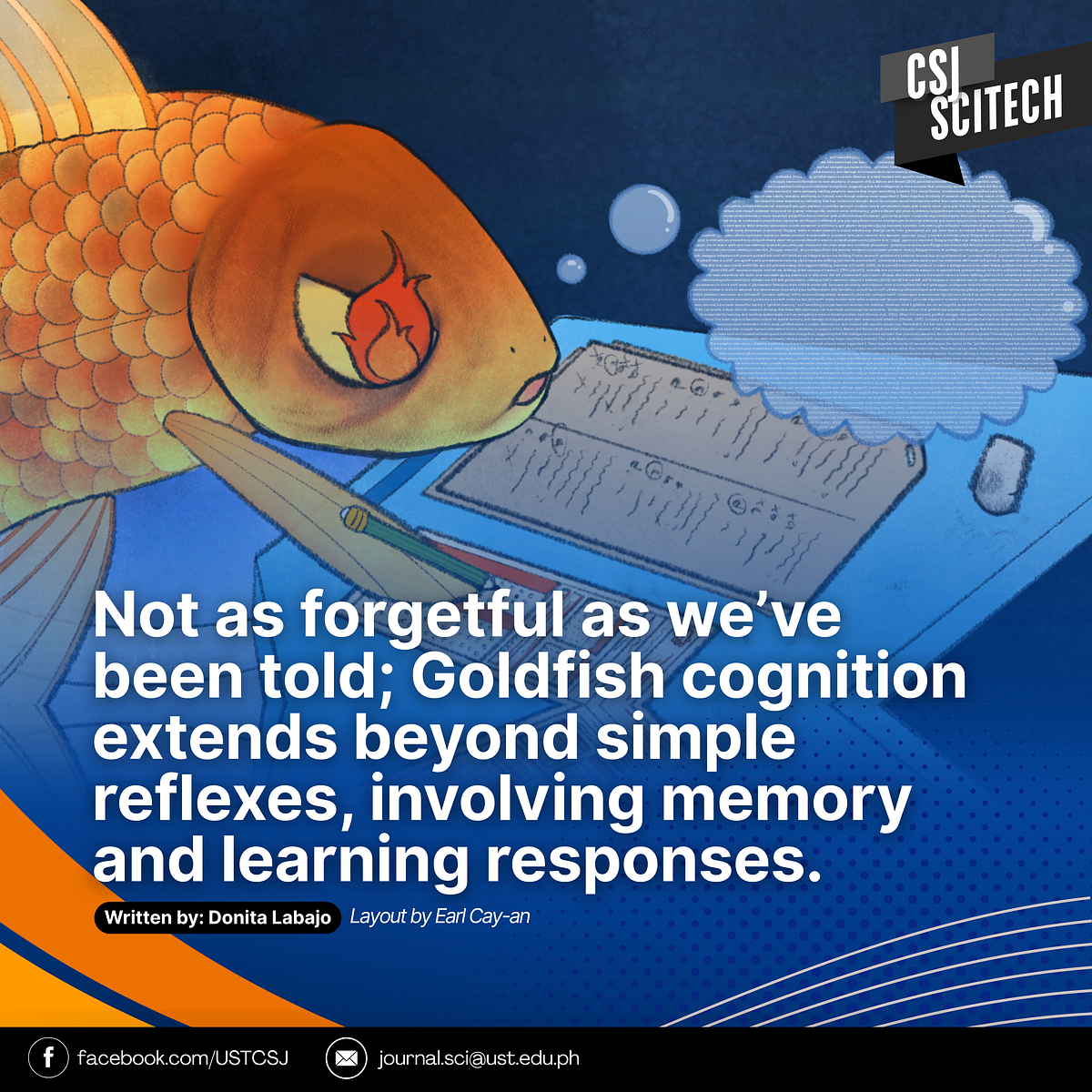 SCITECH | Brains in Bubbles: Debunking the Goldfish Memory Myth | by ...