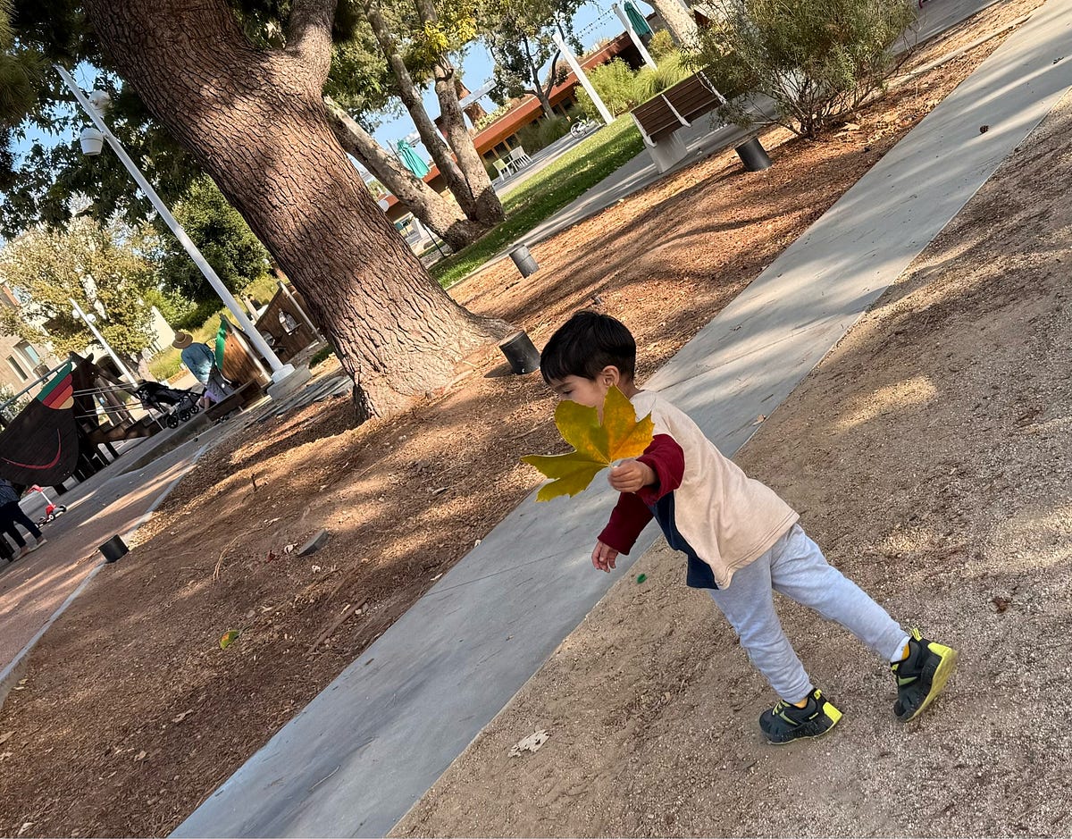 Human Personality Is Like Weather | by Dr. Seema Patel (PhD) | Write A ...