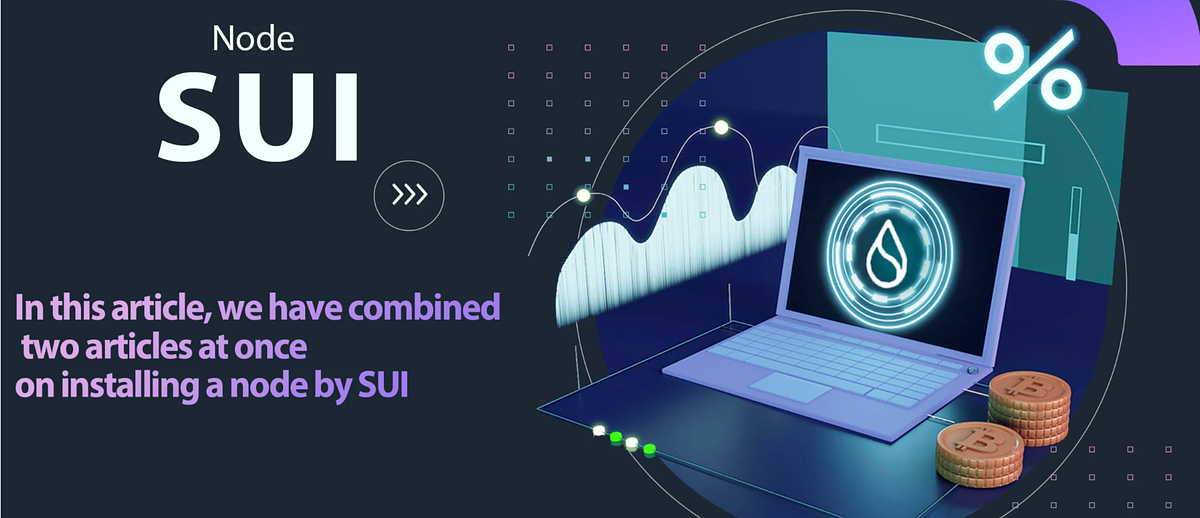 SUI Node— Setup Guide. In this article, we have combined two… | by Shivam Bharti | Medium