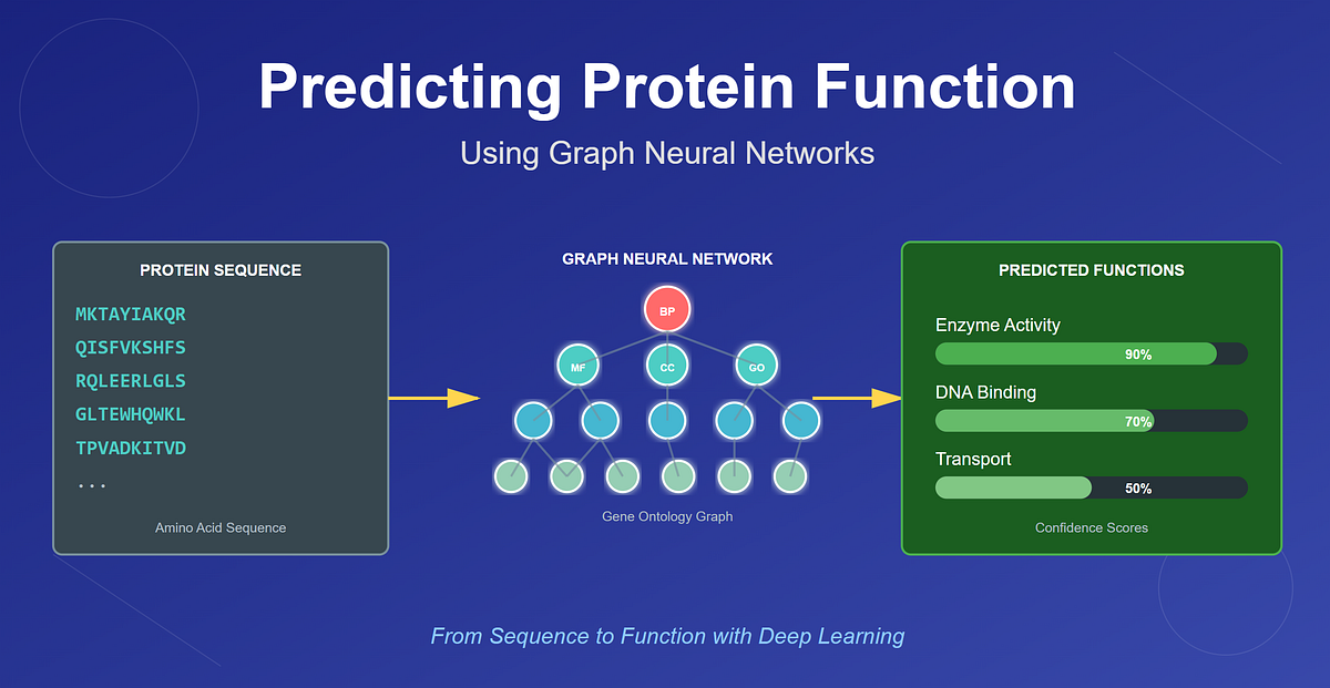 Predicting Protein Functions with GNNs | by Victor Samsonov | Dec, 2025 | Medium