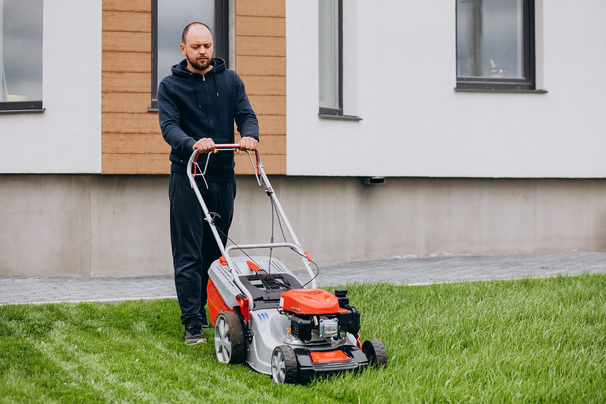15 Common Practices That Slowly Destroy Your Lawn | by Edward Ochoche ...