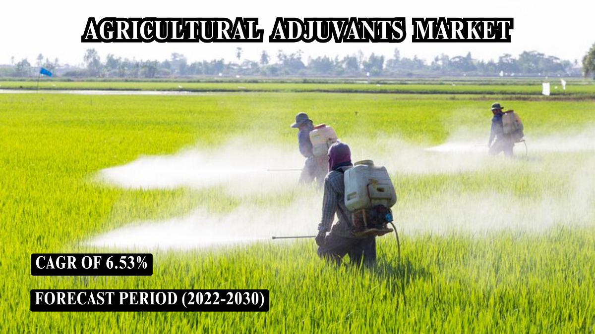 Boosting Crop Performance: Analyzing the Agricultural Adjuvants Market ...