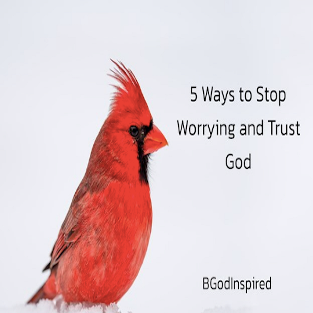 5 Steps to Stop Worrying and Trust God | by BGodInspired | Medium