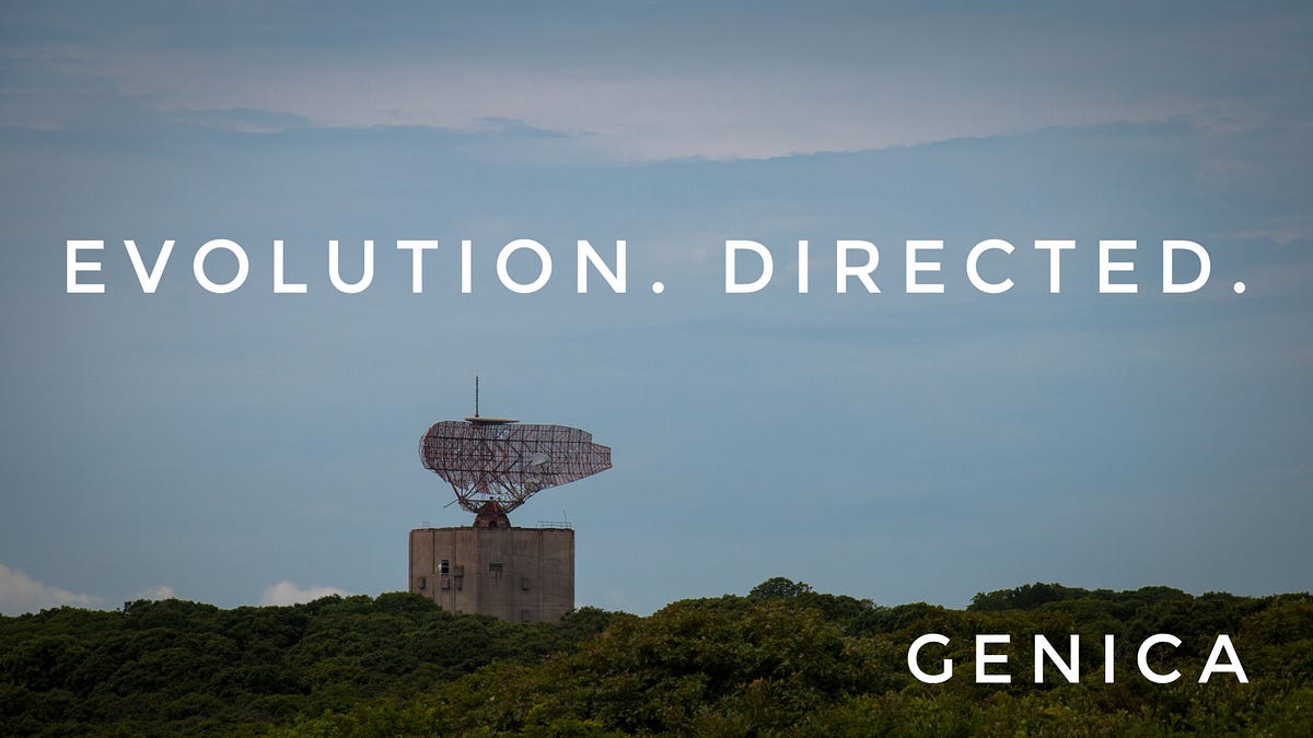 The Final Buzzer. Evolution. Directed. | by Westy Reflector | Medium