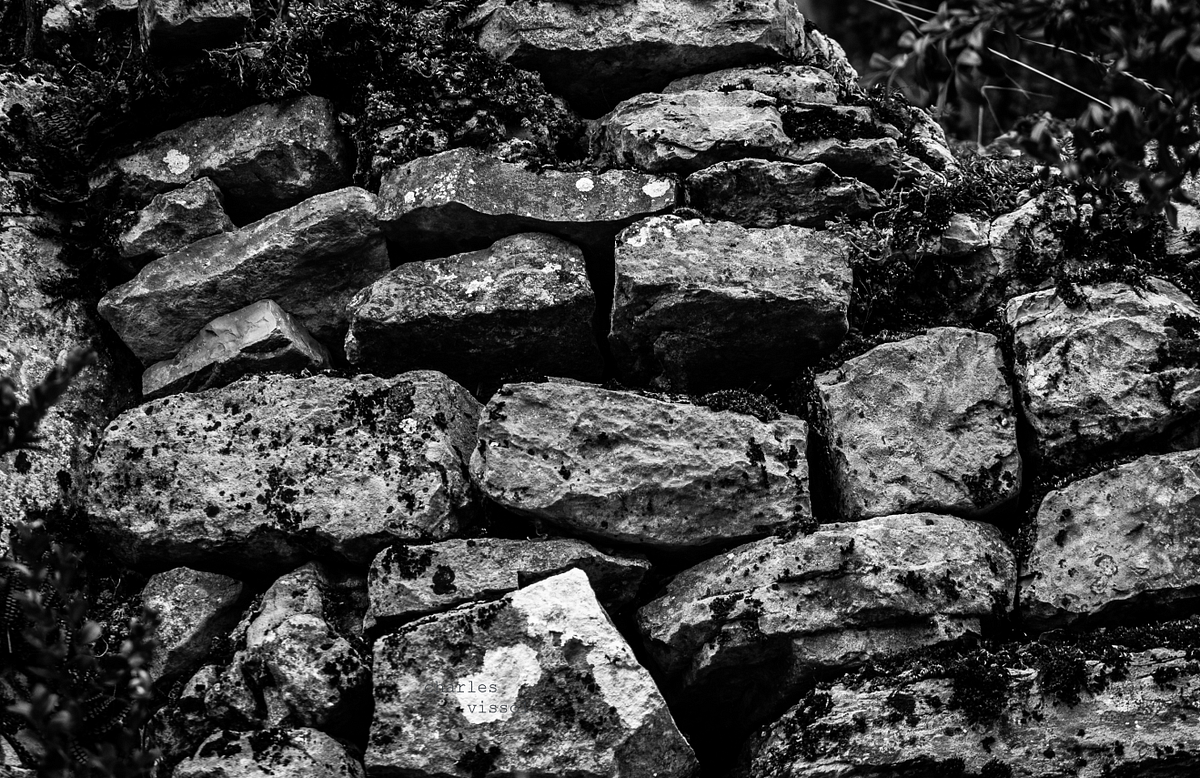 Share Your First Docker Image Here Is A Simple And Short “how To” To… By Charles Vissol