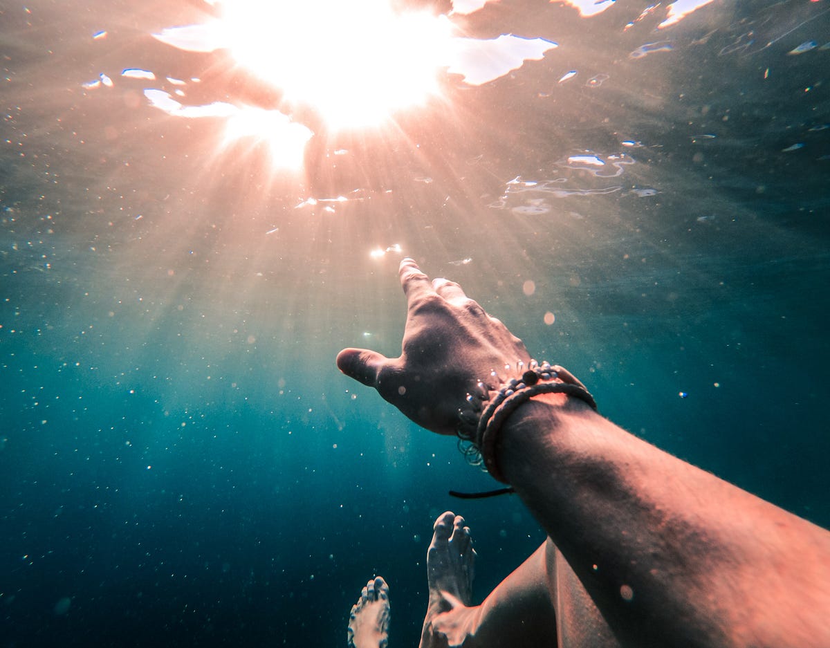 Find Your Primal Fears. The battle to improve your entire life | by Ben ...