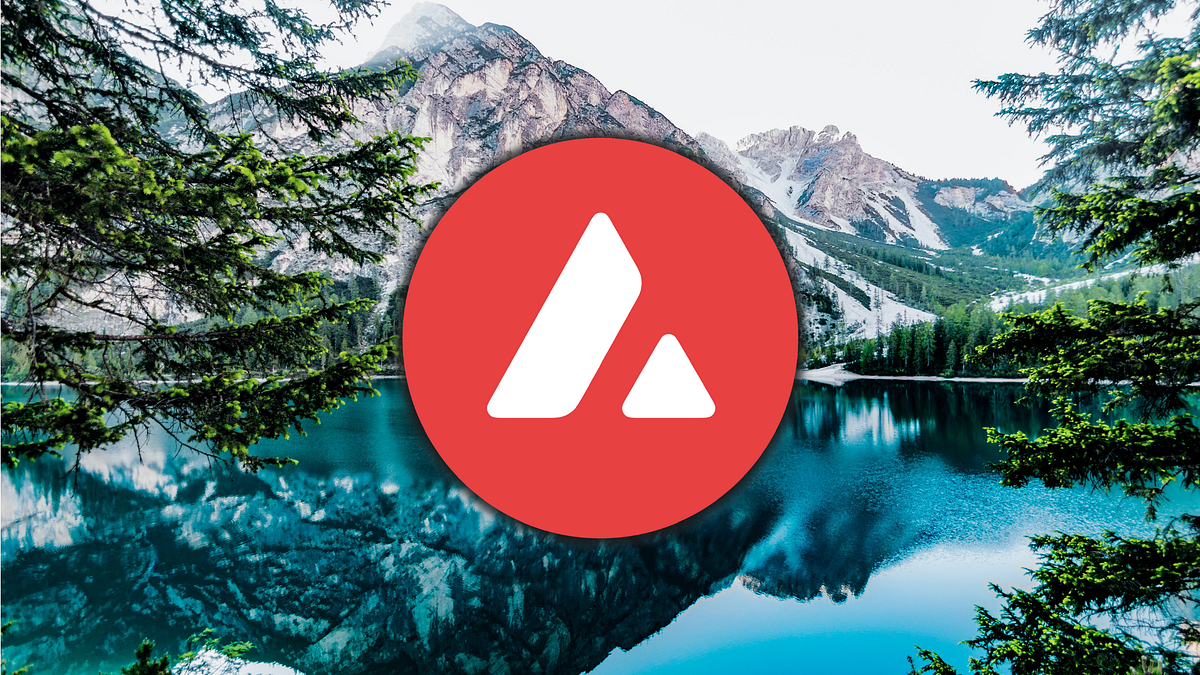 12 Latest Projects Built or Deployed on Avalanche | by zach2600 ...