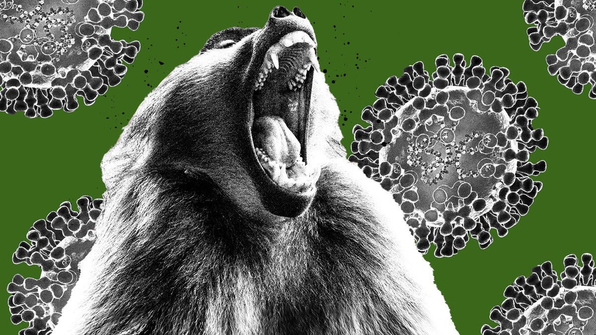 WHO Declares PHEIC for Mpox: Should We Be Worry for Monkeypox? | Write ...
