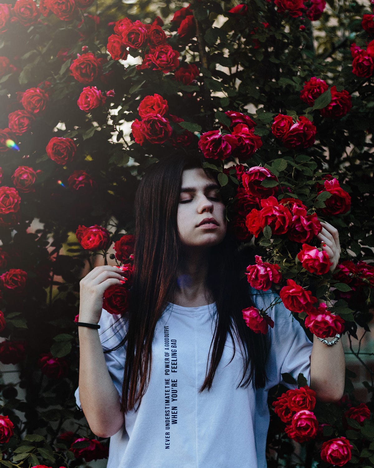They were your favorite. A wild rose haiku | by Alice Evergreen | Medium