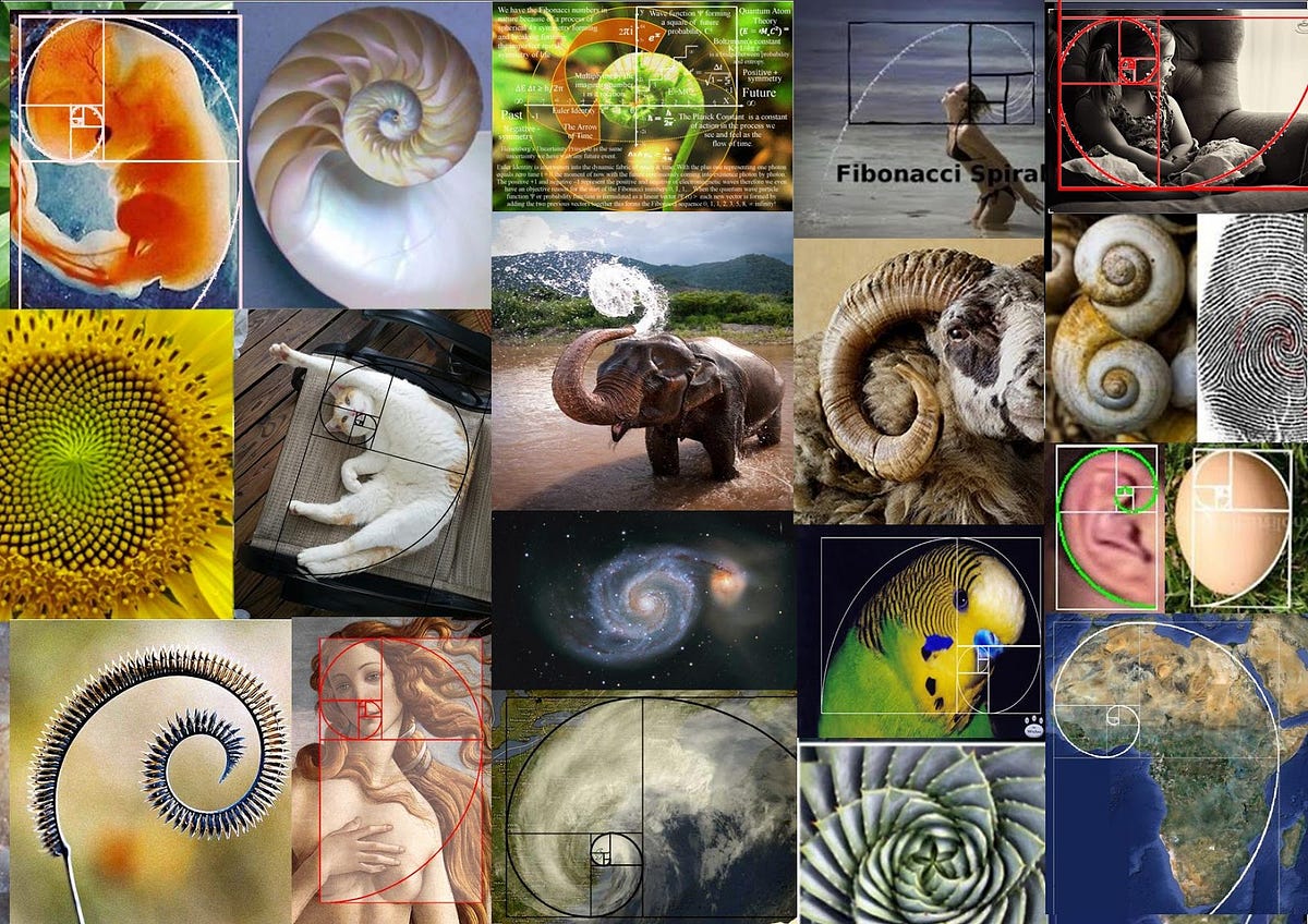 Fibonacci ?? Everywhere!!….. different ways to solve it. | by Penelope ...