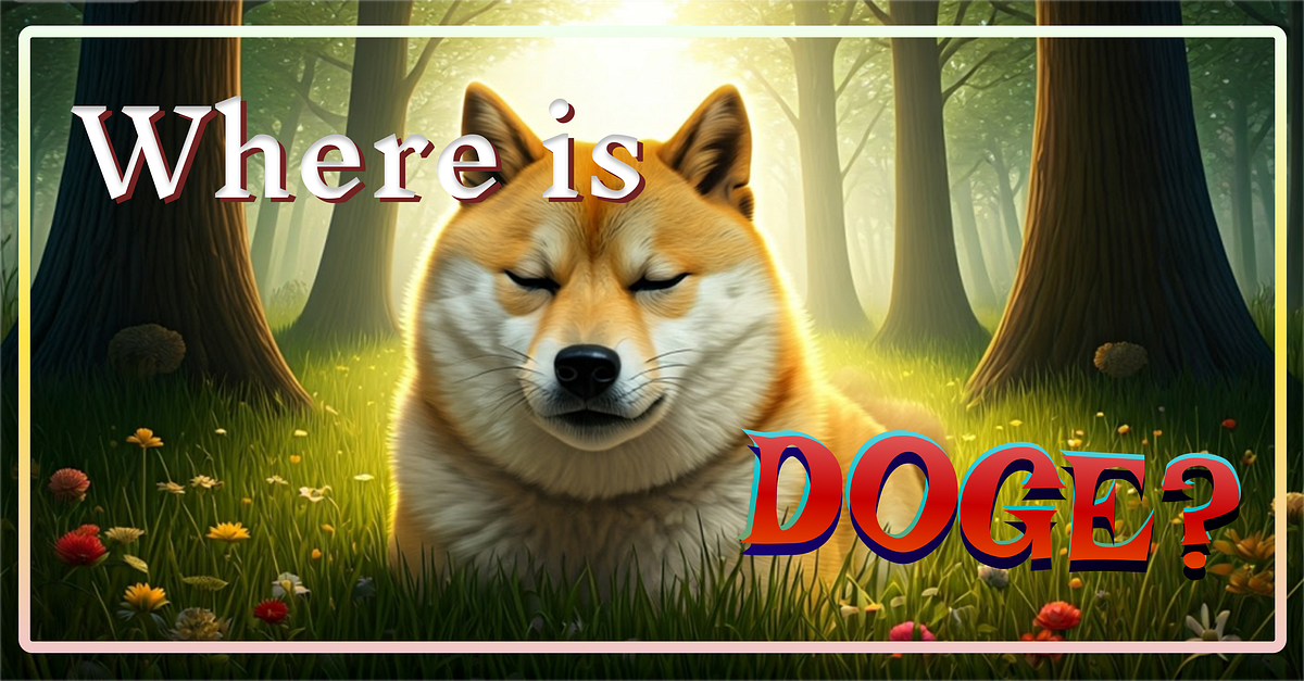 UNIVERSAL GUIDE: Introduction. Where is DOGE? Every ending is a new ...