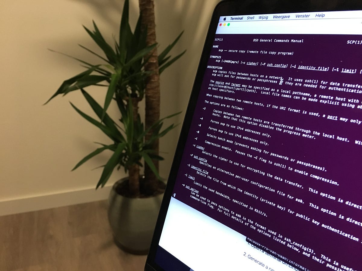 Advanced Cli Commands You Should Know As A Developer By Daan Better Programming