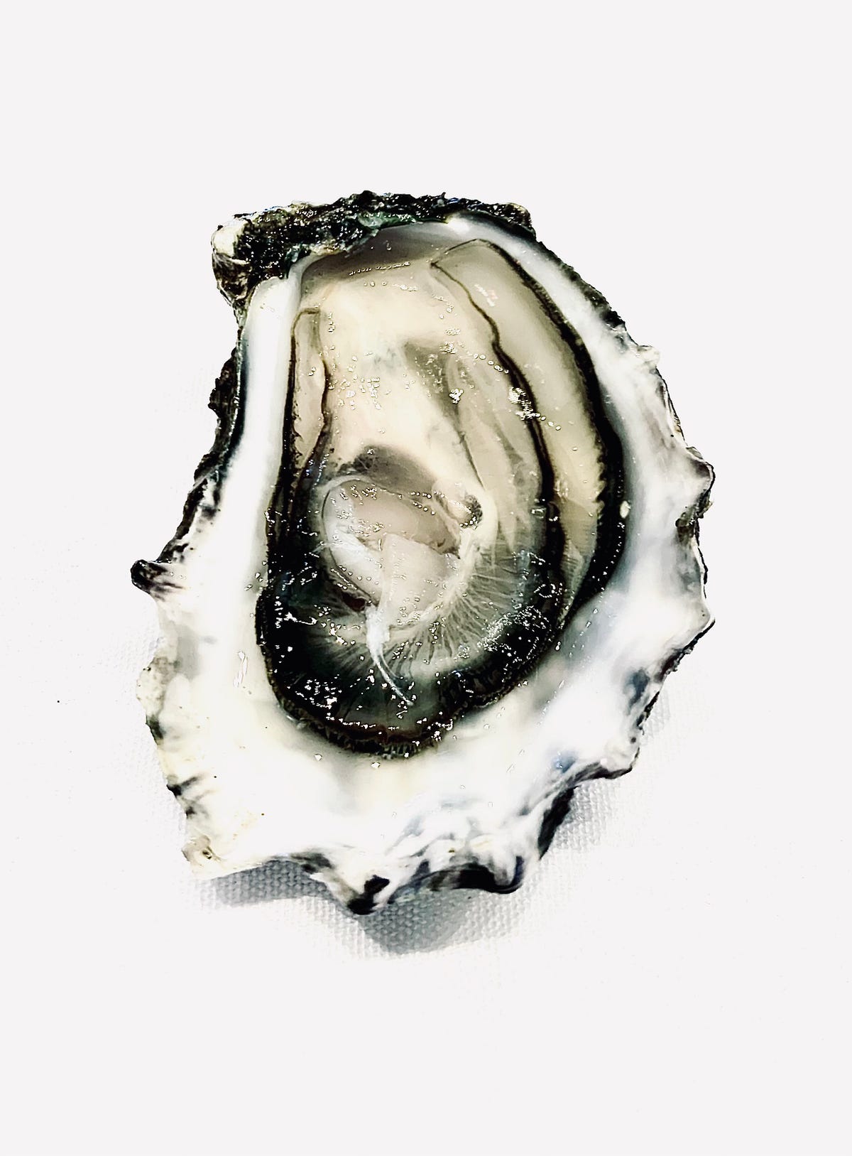 All Dressed Up and Going Nowhere | by Charli | Medium