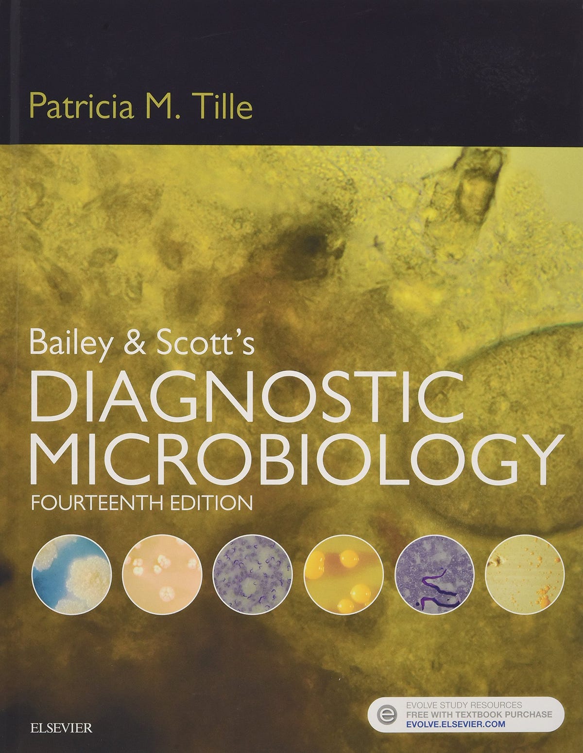 [PDF]-Bailey & Scott’s Diagnostic Microbiology | by Lorihughes | Medium