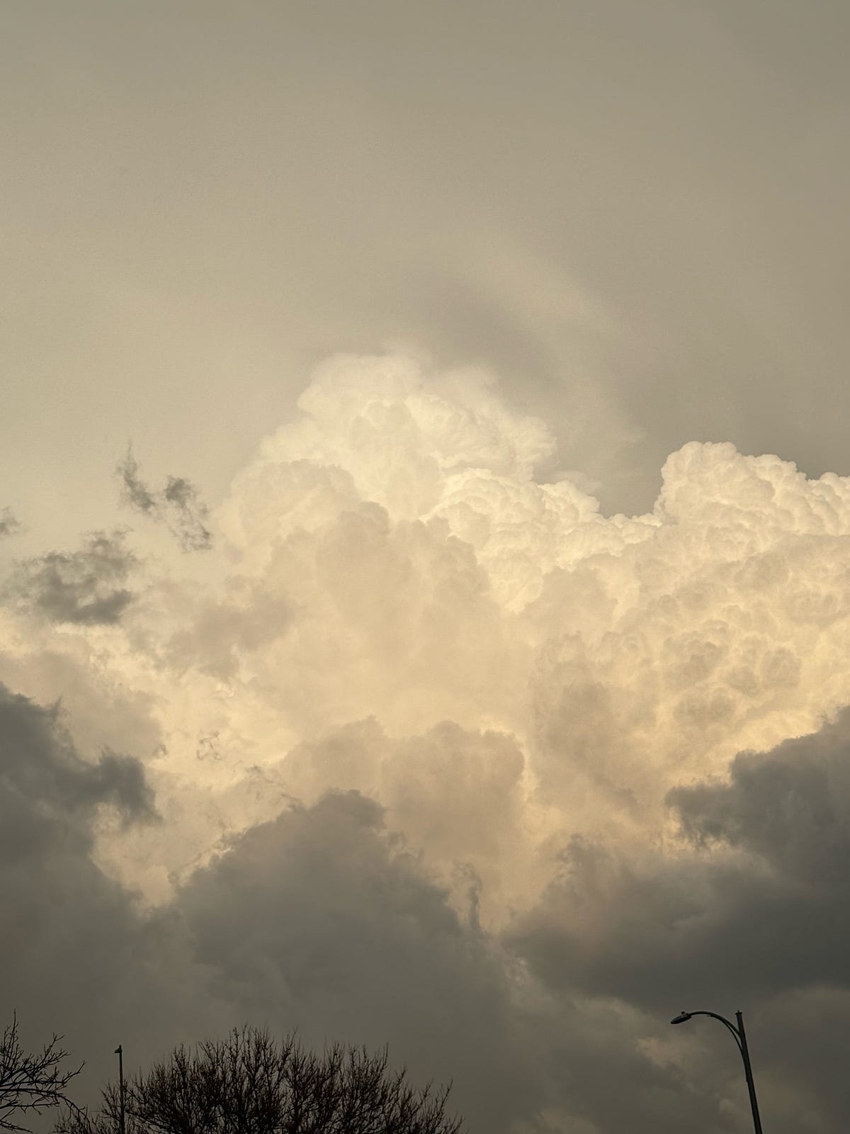 too much. By Iris | by Iris Davis | Jun, 2025 | Medium