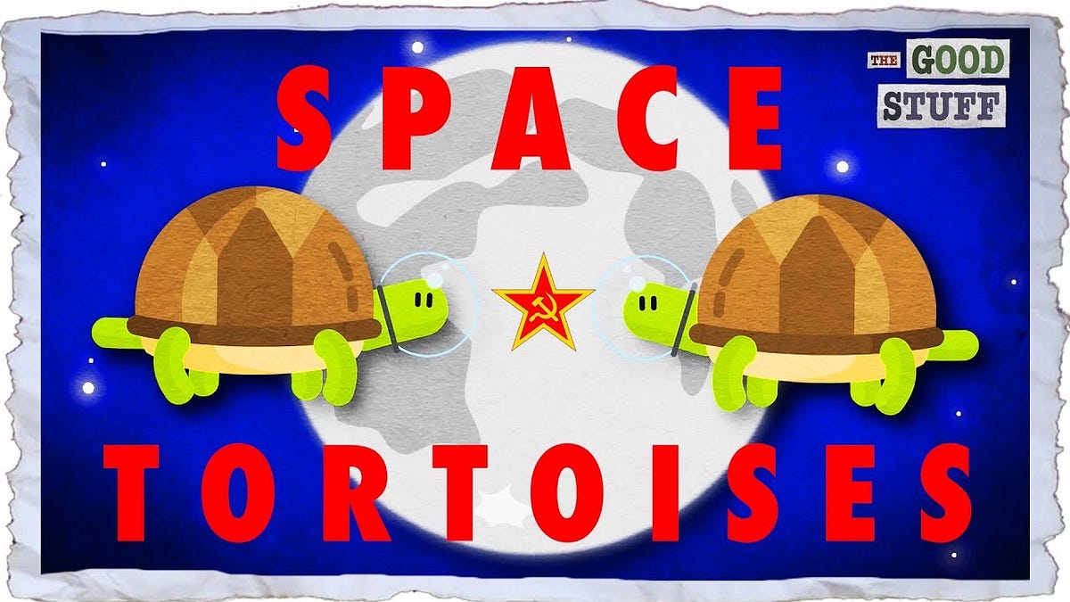 The Tortoises That Beat Humans to the Moon | by Matt J Weber 🦢 | The ...