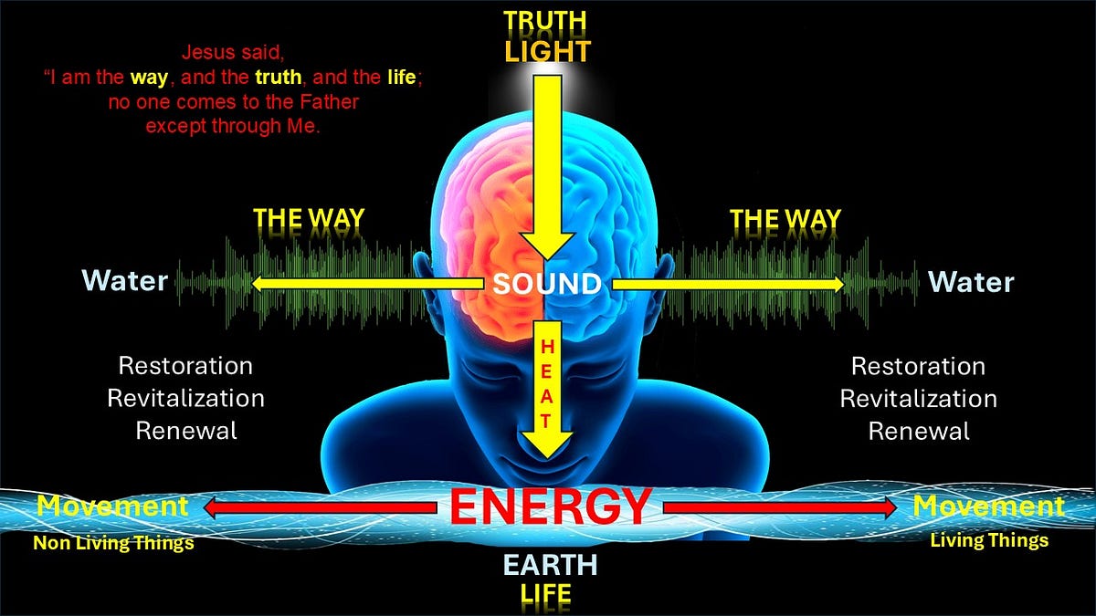 The Interplay of Light, Sound, and Energy: Their Impact on Living and Non-Living Things | by ...
