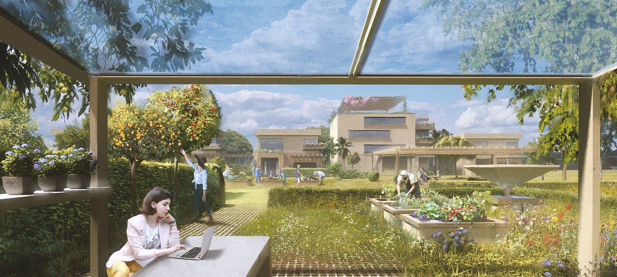 What will a Net Zero garden look like? | by UK Research and Innovation ...