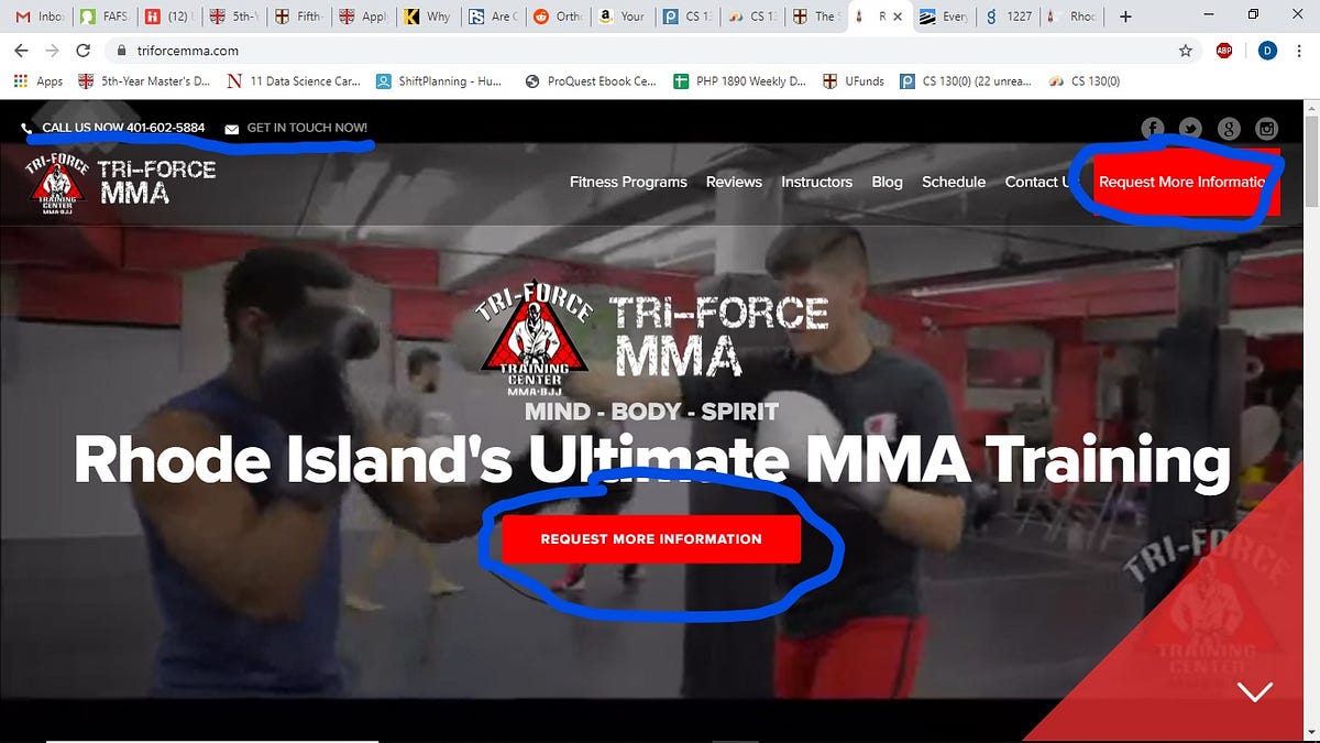 Interface Critique. TriForce MMA | by Diego | Medium
