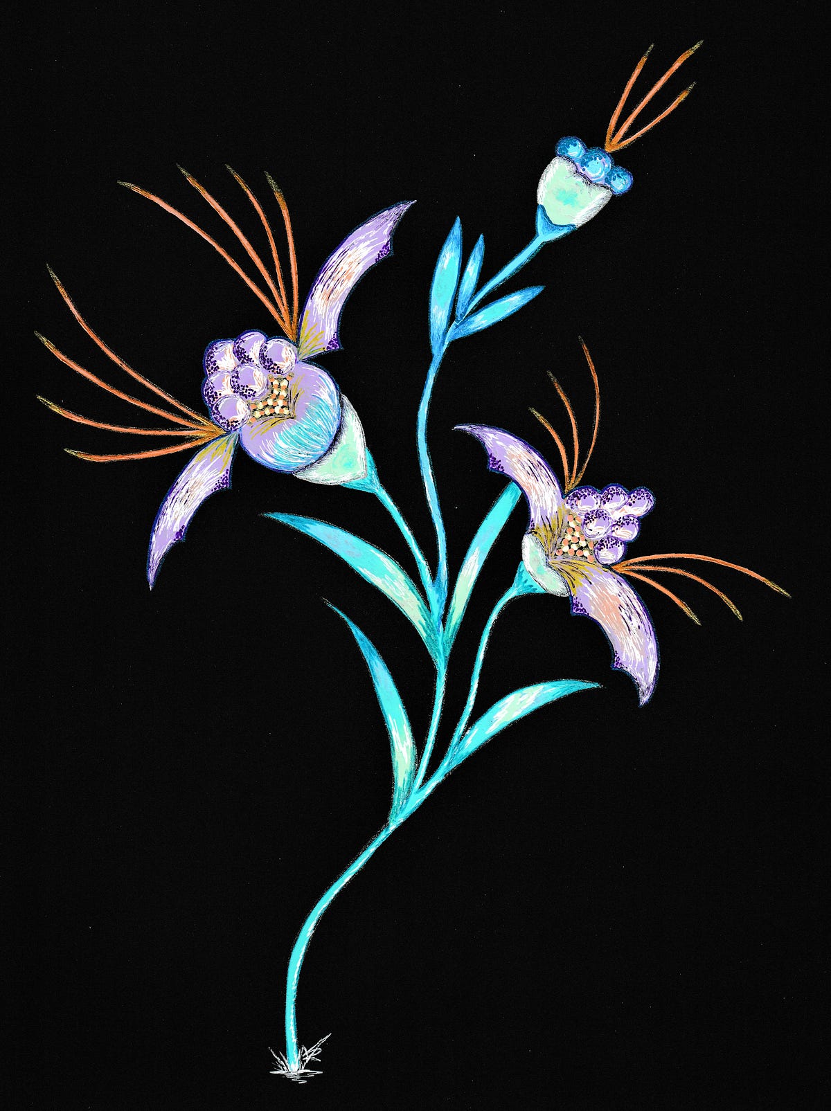 My black paper art!. A few years ago I discovered pens that… | by Noki ...