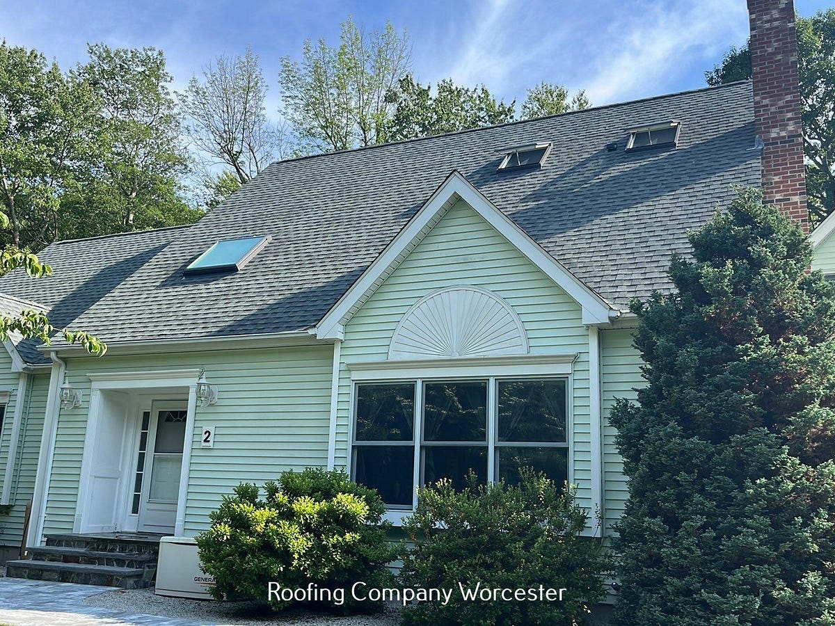 Synergy Skylights and Roofing - Rafiul shuvo - Medium