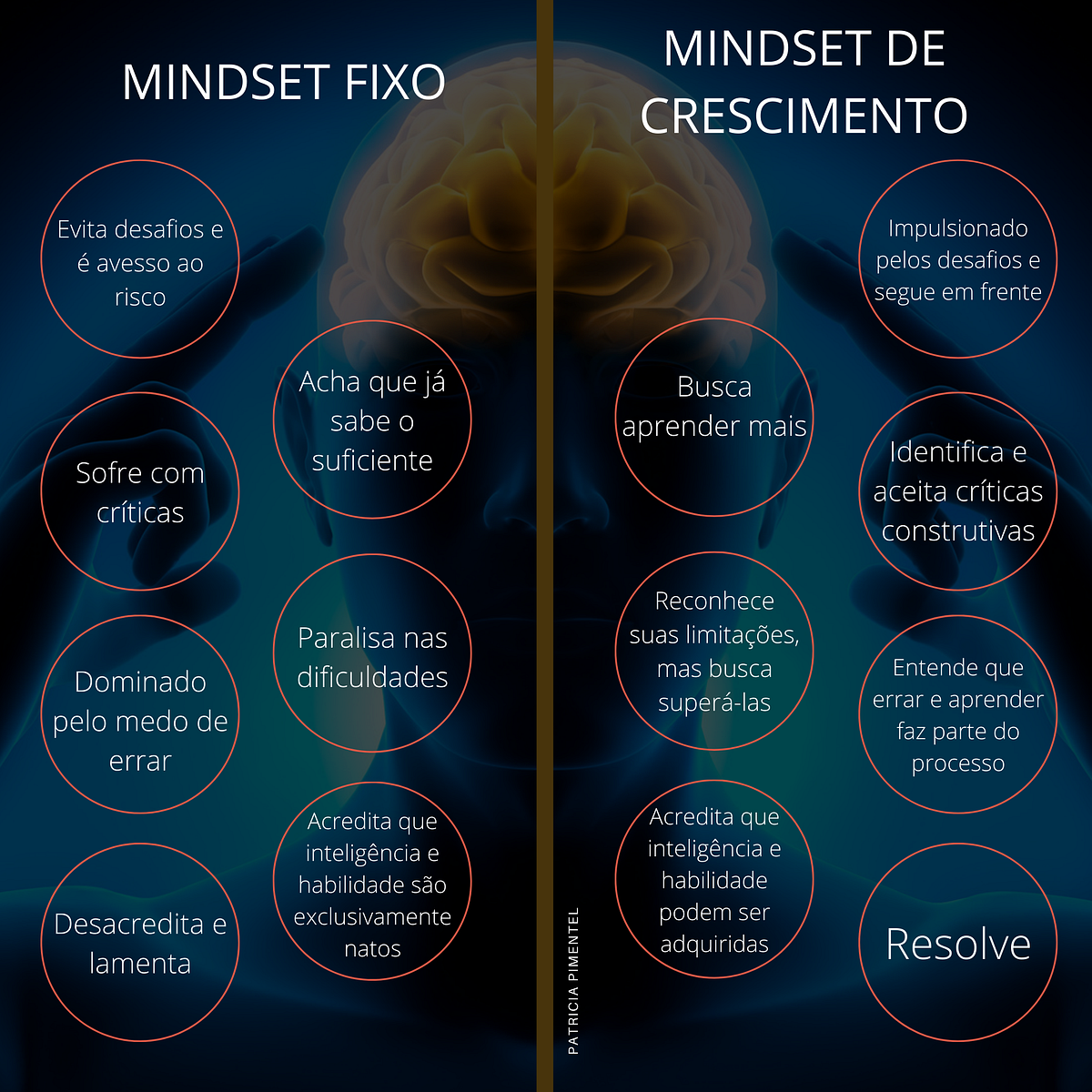 Qual é o seu mindset?. Ok, primeiro vamos explicar o que é… | by ...