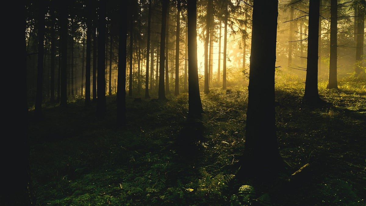 Diary of Her. a short tale of what was | by Melissa Volker | Medium