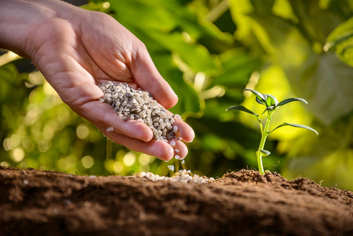 Usage of Fertilizer in Grain Growing | by Agrorian | Medium