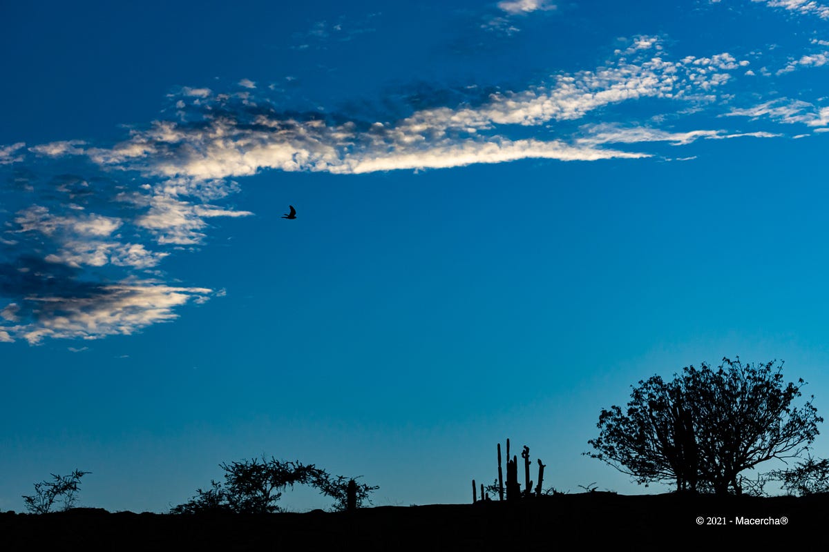 ¿Cómo simular la sobrecarga de métodos o constructores en Python? | by Mario Cerón Charry | Medium