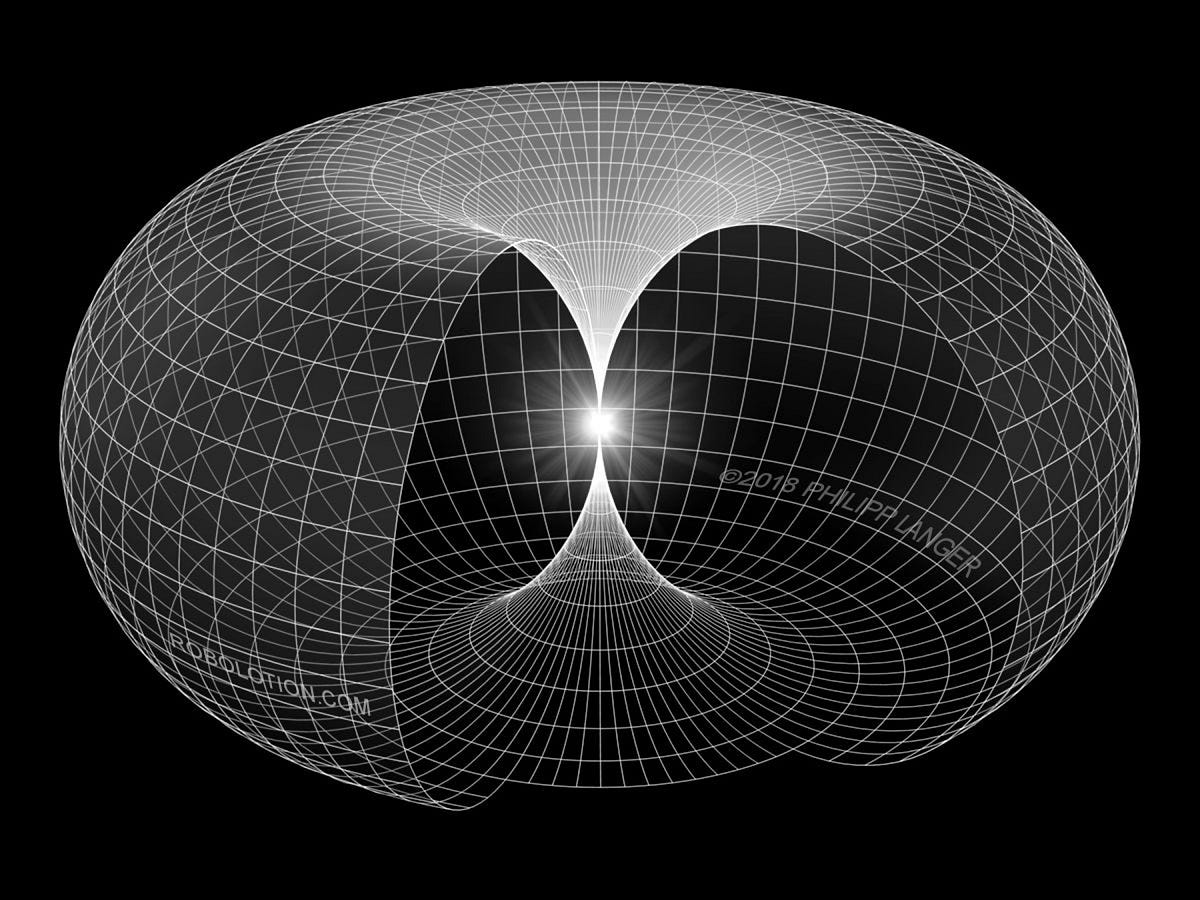 ‘The Loop Hose Theory’. If we think deeper, something feels… | by ...