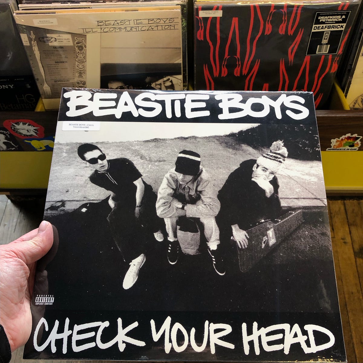 Beastie Boys — Check Your Head LP - Monuments in Ruin - Medium