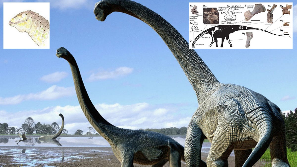 New Species of Dinosaur Discovered By Palaeontologists | by Robert Lea ...