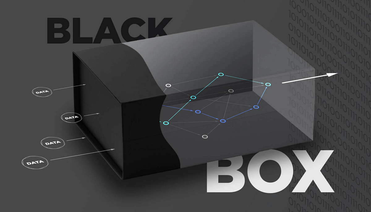 What Is a Black Box in Neural Networks? | by Bluetick Consultants Inc ...