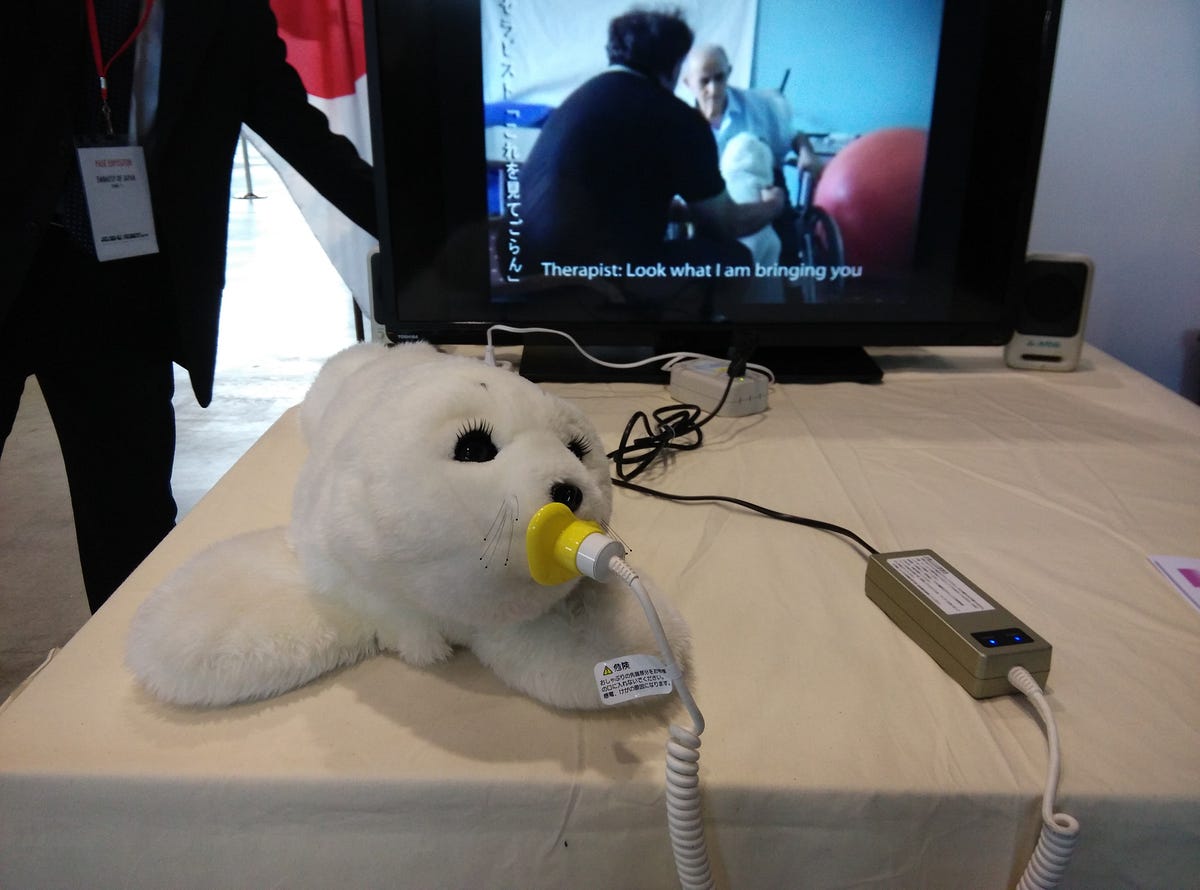 Robotic seals: dogs, you have a new enemy | by Jakub Tomášek | Medium