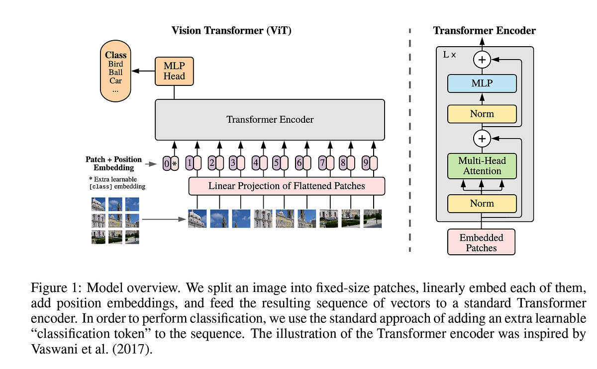 Vision Transformer (VIT)- Overview | by Owaish | Medium