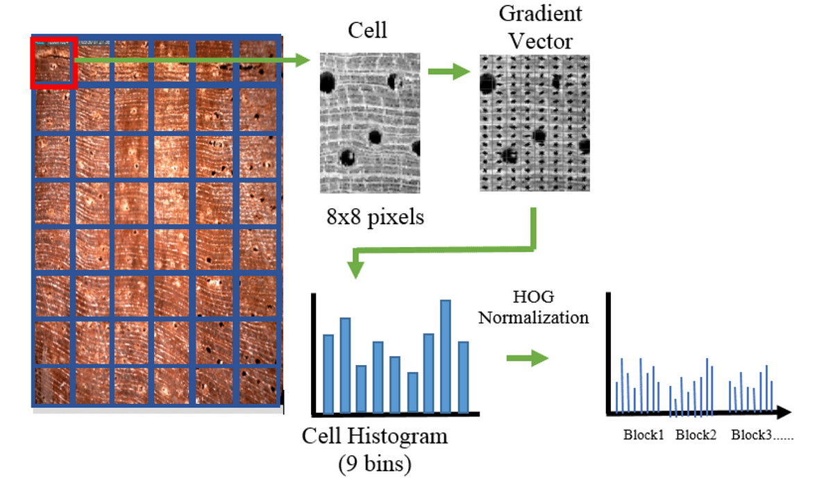 Hog Histogram Of Oriented Gradients An Amazing Feature Extraction Engine For Medical Images